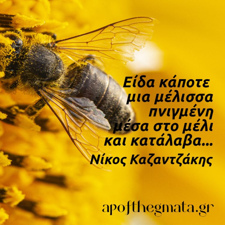 Αποφθέγματα για την Πλεονεξία – Σοφά Λόγια με Εικόνες