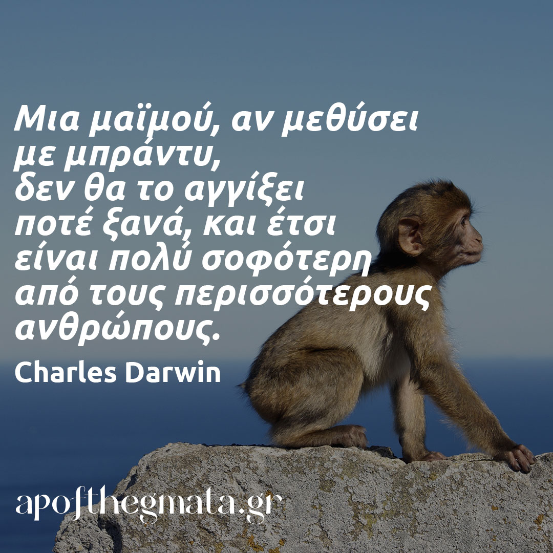 "Μια μαϊμού, αν μεθύσει με μπράντυ, δεν θα το αγγίξει ποτέ ξανά, και ...