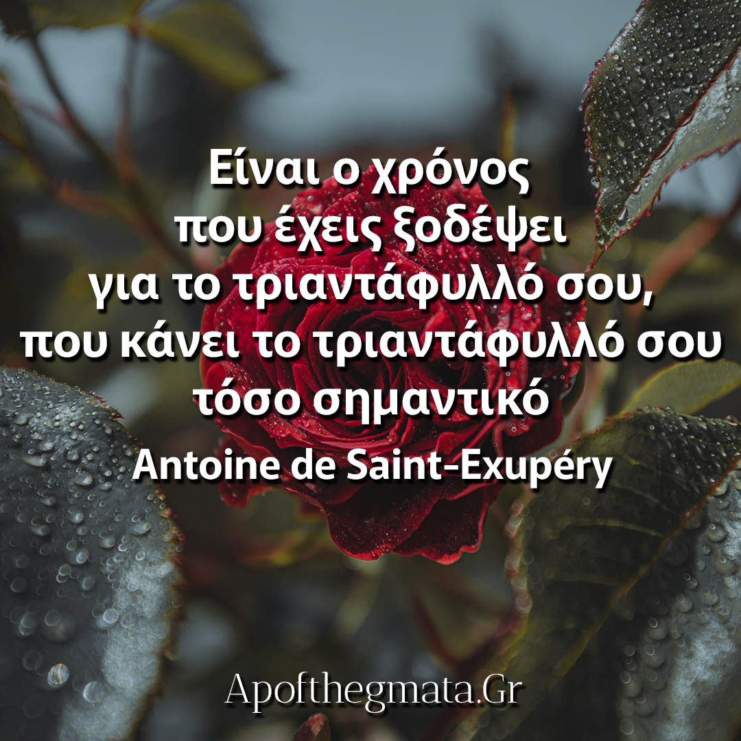 Είναι ο χρόνος που έχεις ξοδέψει για το τριαντάφυλλό σου, που κάνει το ...