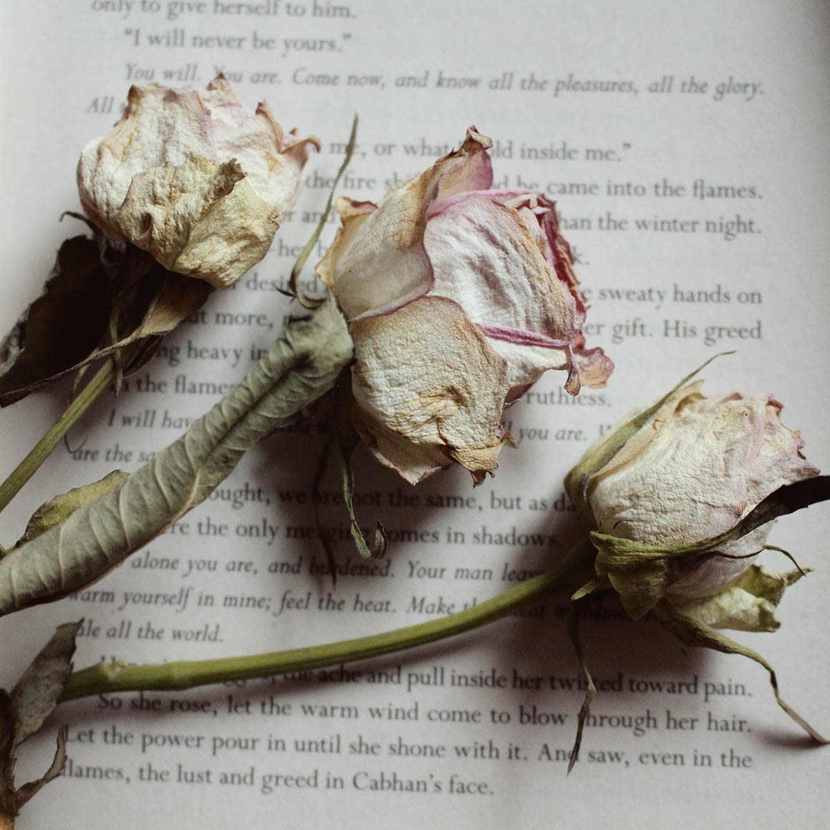 Φιλοσοφία και Ποίηση - Αποφθέγματα