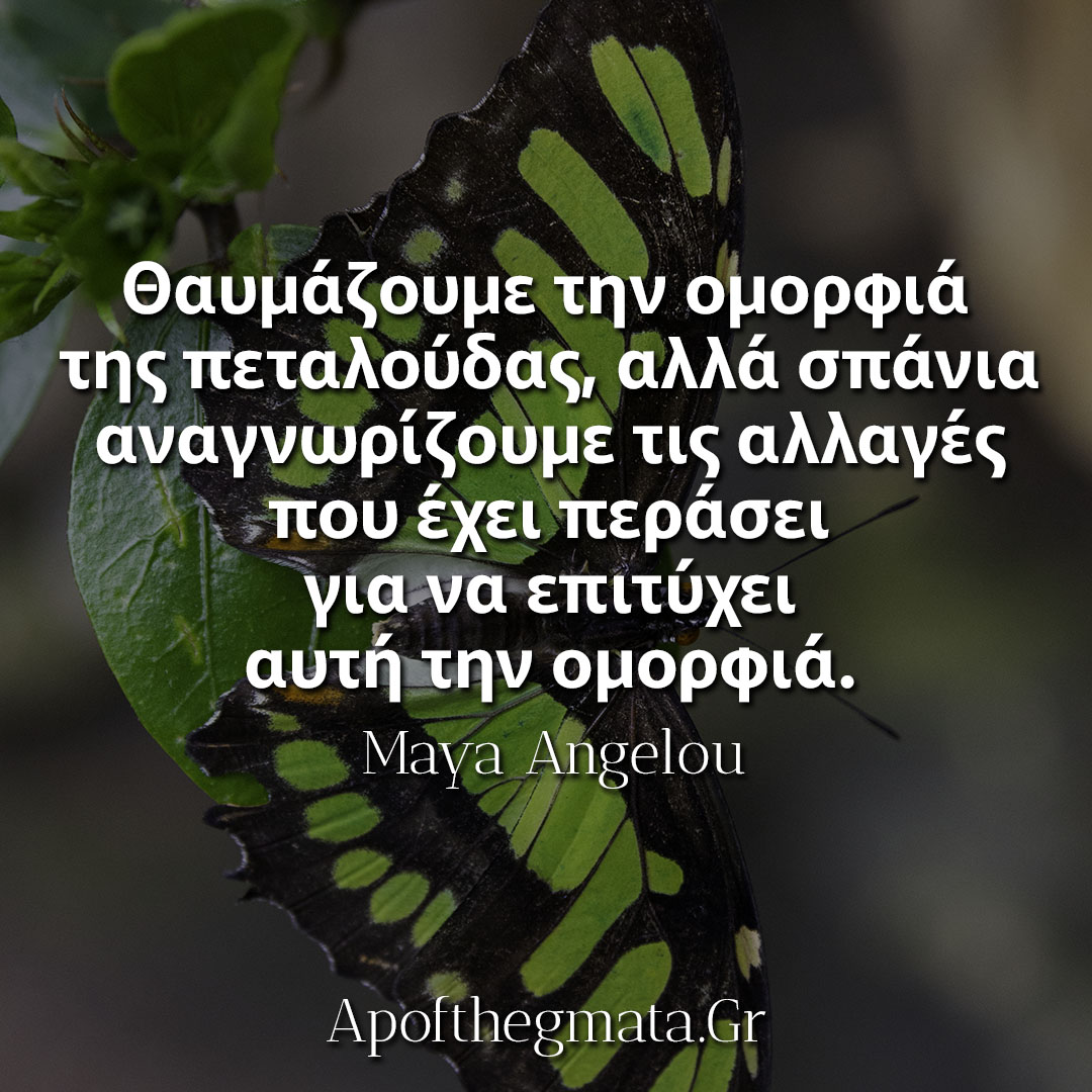 Θαυμάζουμε την ομορφιά της πεταλούδας, αλλά σπάνια αναγνωρίζουμε τις ...