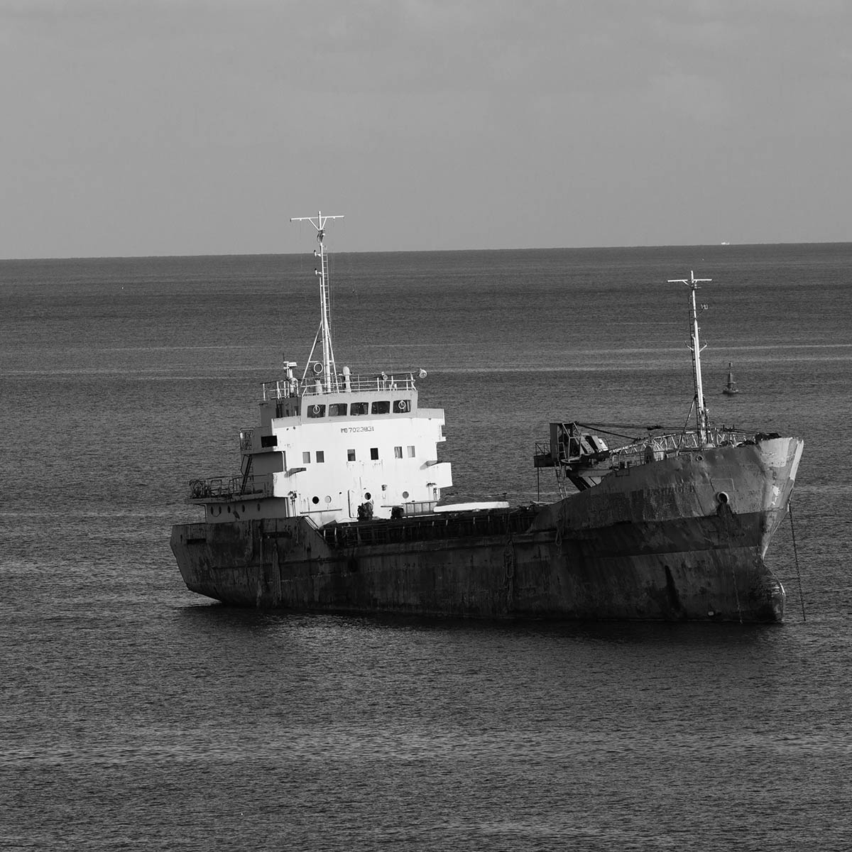 Οι εφτά νάνοι στο s/s Cyrenia - Το Νόημα των Στίχων - Αποφθέγματα