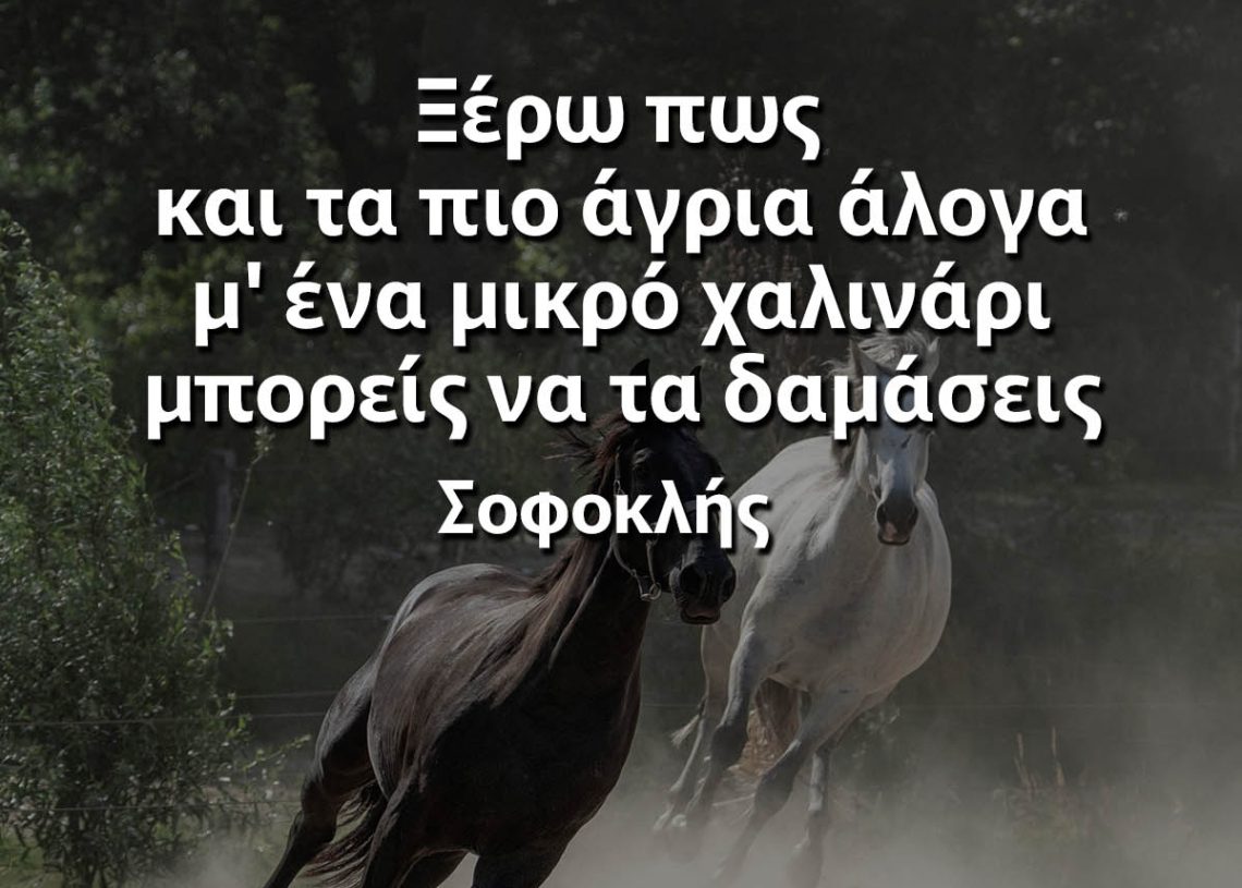 "Κείνος που στ’ αληθινά αγαπά το λαό, δε γίνεται ποτέ αρχηγός του ...