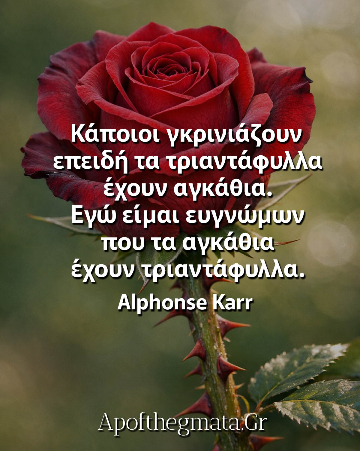 Αποφθέγματα με Εικόνες & Νόημα | Σοφά Λόγια | Ρητά | Γνωμικά